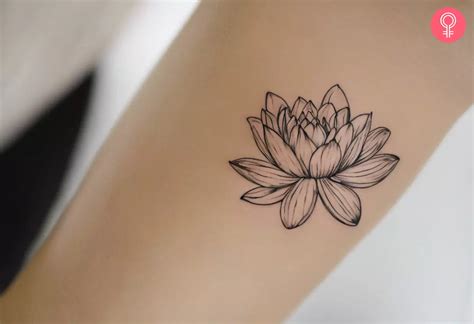 Water Lily Tattoo 8 Unique Designs And Meanings