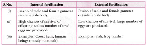 Differentiate Between Internal Fertilisation And External