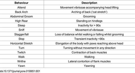 Ethogram For In Cage Behavioural Analysis Adapted From Roughan And