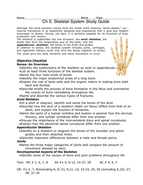 Chapter 5 The Skeletal System Worksheet Answers Printable Pdf Template
