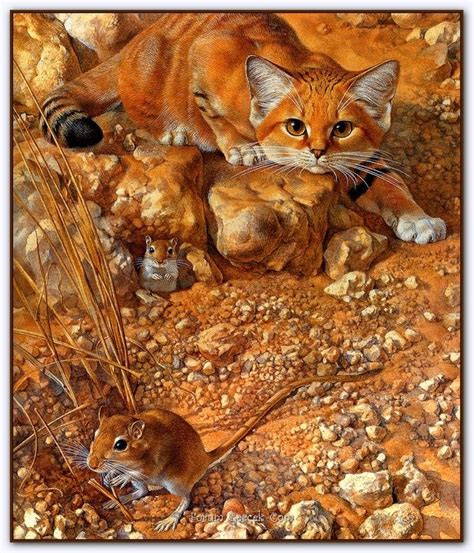 William Holbrook Beard 1823 1900 Amerikalı Ressam Sand Cat Cat