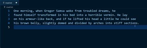 How To Read A Text File Using Python Tkinter Python Guides