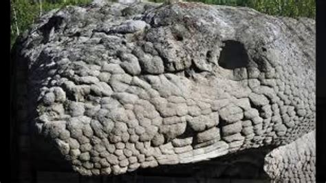 Real Giants In The Earth `` Mudfossils A New Science Youtube