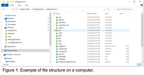 Introducing The Shell Introduction To The Command Line For Genomics