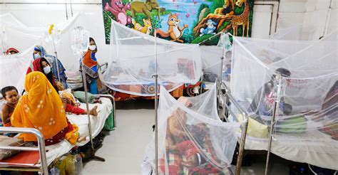 আরও ৭৫০ ডেঙ্গু রোগী হাসপাতালে ভর্তি