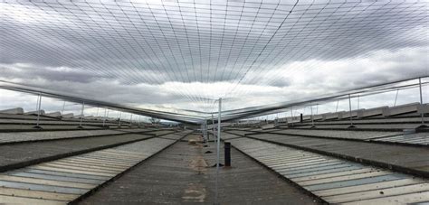 Bird Netting Installation In Gloucester