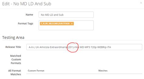 Custom Formats Bug Or Wrong Regex · Issue 3134 · Radarrradarr · Github