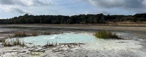 Mongiu It Alea Iacta Est