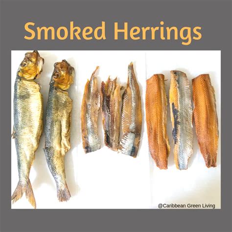 Types Of Smoked Herring A Guide To Varieties Smokedbyewe