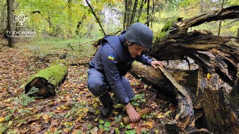 На Прикарпатті знайшли дві міни та артилерійський снаряд Інформатор