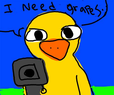 A Duck Walked Up To A Lemonade Stand Drawception