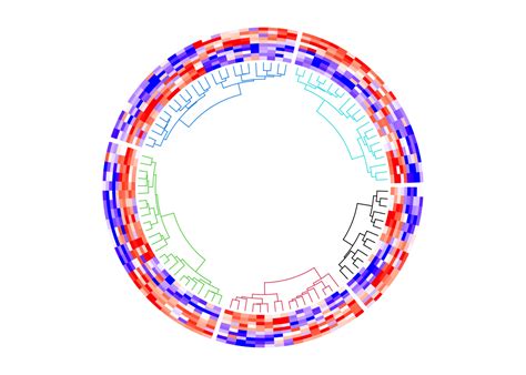 Chapter The Circos Heatmap Function Circular Visualization In R