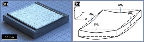 An Example Of Part Warpage Observed During Am Process A Photograph Download Scientific
