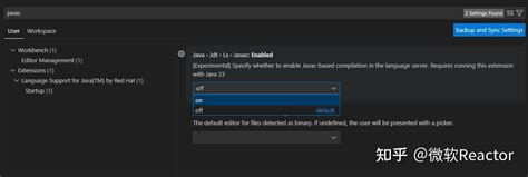 技术速递|vs Code Java 中的 Javac 支持发布 知乎 技术速递|vs Code Java 中的 Javac 支持发布 知乎