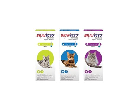 Bravecto Cat Fast Acting Flea And Tick Protection Is The Feline Flea