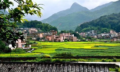 揭西县良田乡桐树坪村