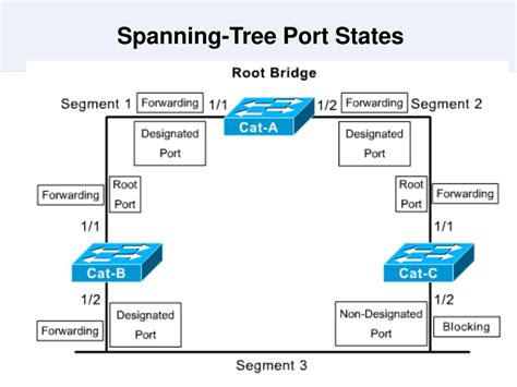 Ppt Spanning Tree Protocol Powerpoint Presentation Free Download Id 4900741