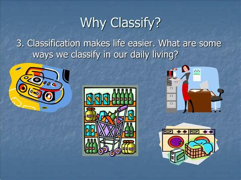 Ppt Classification Powerpoint Presentation Free Download Id2002025