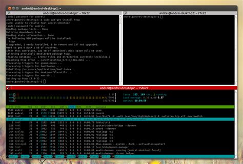 Best Terminal For Linux Experience Seamless Command Line Prowess And
