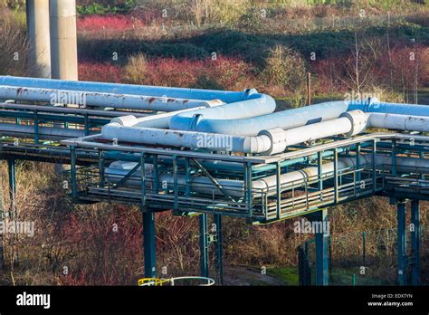 Expansion Loop Pipe At Scott Fleming Blog