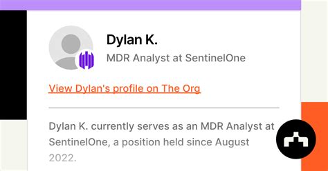 Dylan K Mdr Analyst At Sentinelone The Org