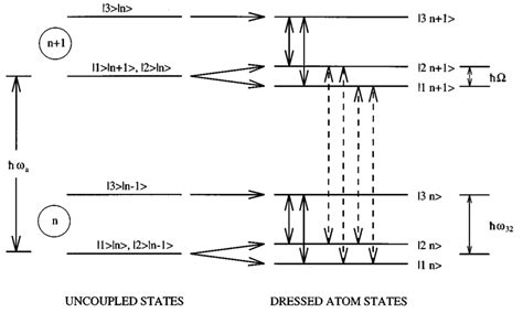 The Dressed Atom Energy Levels And Transitions Transitions Associated