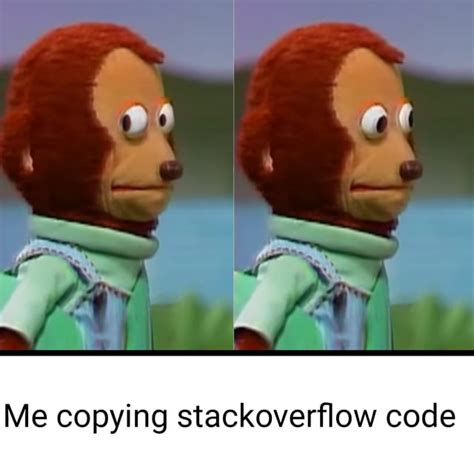 asking on stackoverflow r programmerhumor