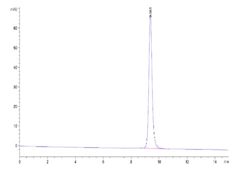 Human Recombinant Hla C 03 04andb2mandkras G12d Biotin Proteins And Peptides