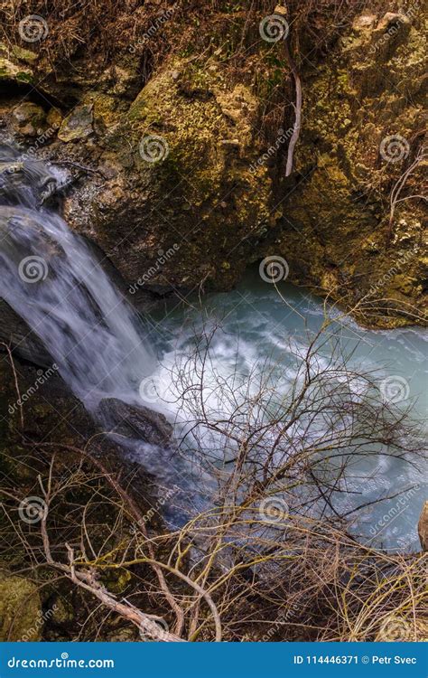 Small Waterfall In A Forest Stock Image Image Of Wood Tree 114446371
