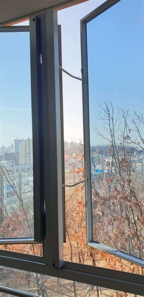 네이버 블로그