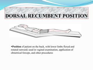 Dorsal Recumbent
