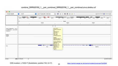 Free Webinar Introduction To Bioinformatics Biologist 1 Pptx