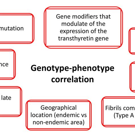 Factors Influencing Phenotypic Expression In Attrv Download Factors Influencing Phenotypic Expression In Attrv Download