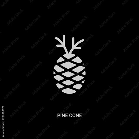 White Pine Cone Vector Icon On Black Background Modern Flat Pine Cone From Christmas Concept