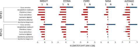 Latitudinal Shift Hundreds Of Km Of Commercially Important Macroalgae