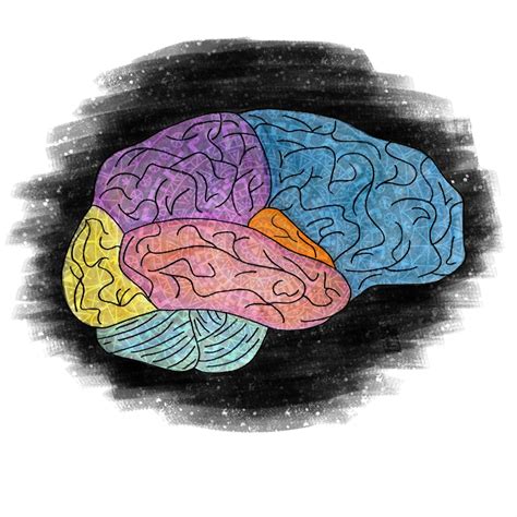Introduction To Organoids
