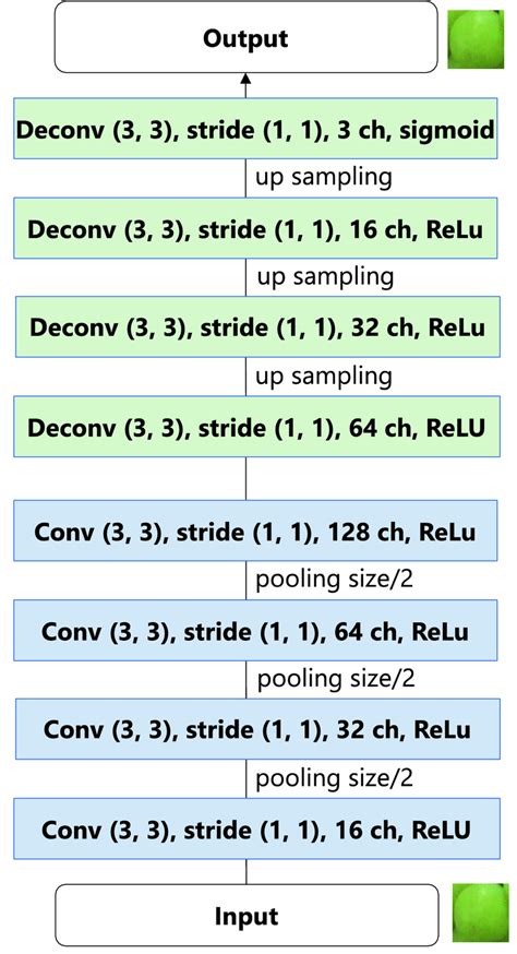 The Autoencoder Model For Detecting Diseased Grains Download