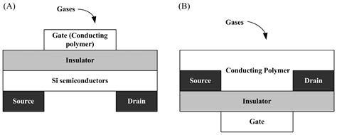 gas sensors based on conducting polymers