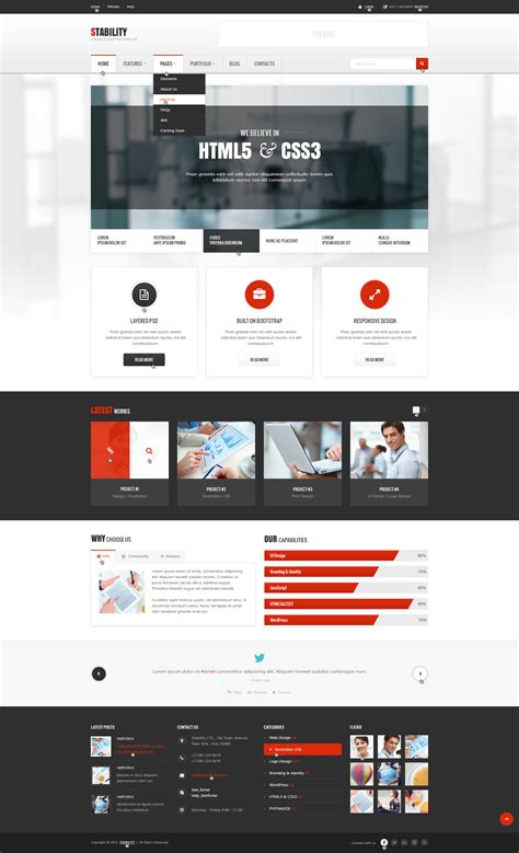 Stability Responsive HTML CSS Template By Dan Fisher ThemeForest