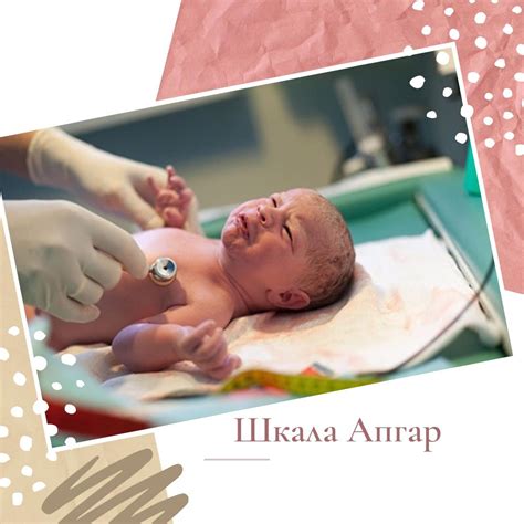 5 Роддом Киев Medical Service Kyiv Ukraine Facebook 4 Reviews 254 Photos