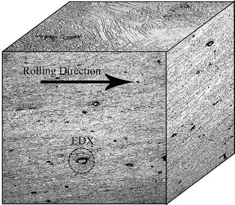 3d Optical Micrograph Of The Microstructure Of The Az31b Mg Alloy