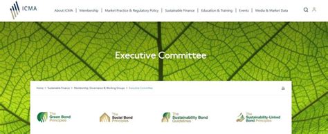 Icma International Capital Market Association On Linkedin During Its First Meeting After The