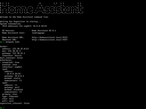 No Ipv4 Or Ipv6 Address When I Run HA Within VirtualBox Can Any Kind Soul Help Me R