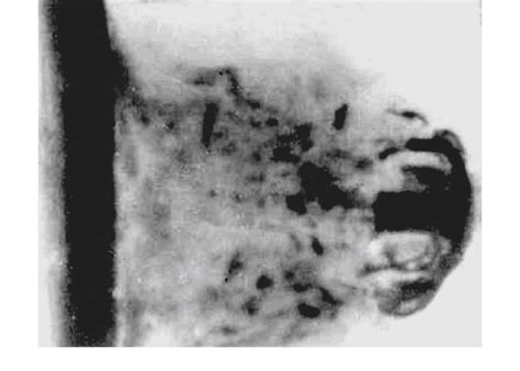 X Ray Pattern Of Penetration Into A B 4 C Ceramic Plate At A Time Download Scientific Diagram