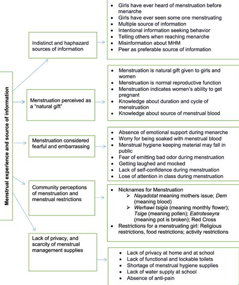 Qualitative Exploration Of Ethiopian Menstrual Experiences Ijwh