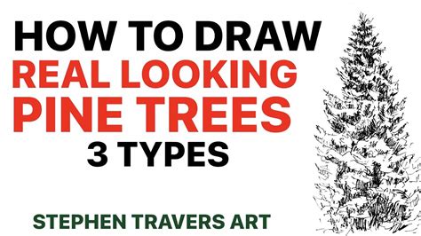 How To Draw A Realistic Pine Tree