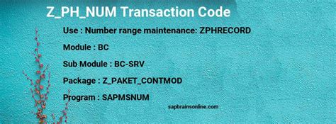 Zphnum Sap Tcode For Number Range Maintenance Zphrecord