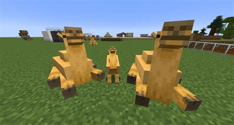 Building A Minecraft Cactus Farm The Ultimate Guide For An Automatic Cactus Farm