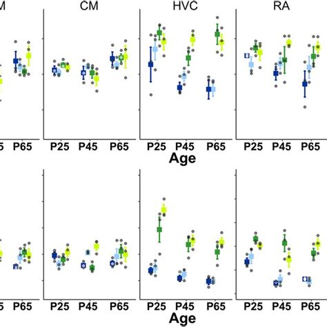 Quantification Of Inhibitory Cell Densities Across Sex Age Tutor