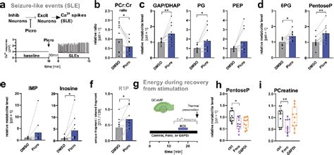 Figure 1 From Spatially Resolved Metabolomics And Isotope Tracing Reveal Dynamic Metabolic